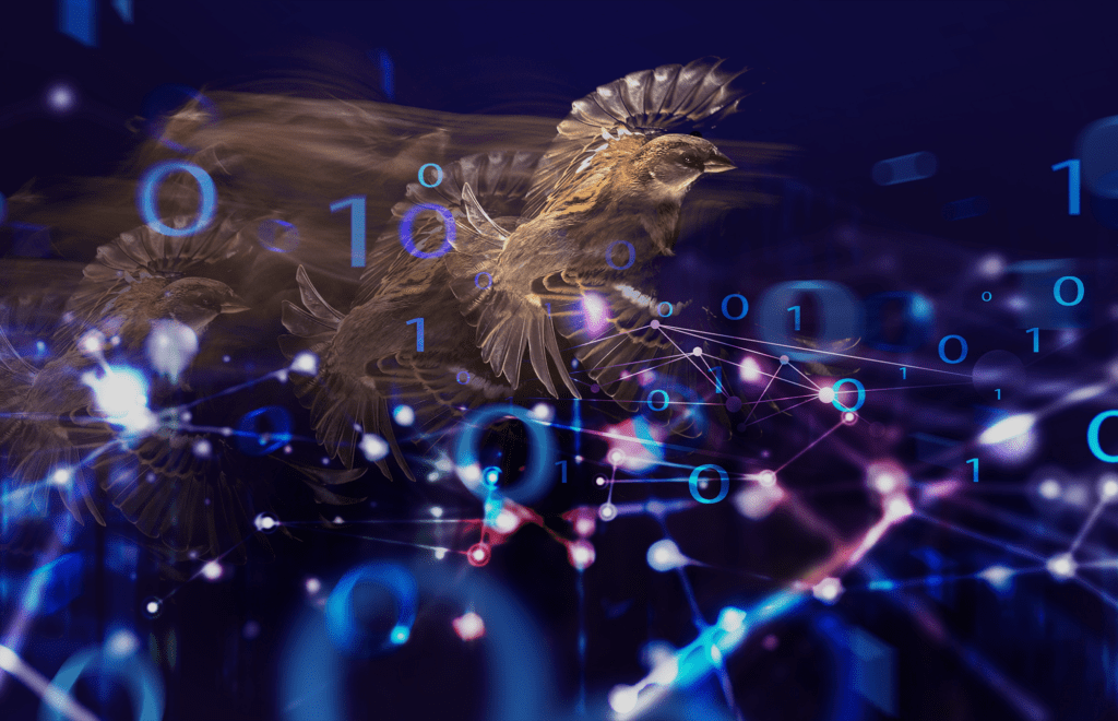 The Strategic Wisdom of Sparrows - WorldQuant